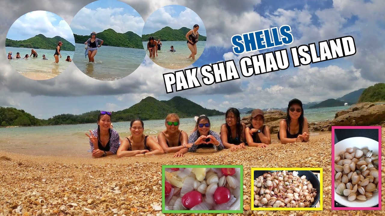 🔥ENJOYING CATCH SHELLS🐚 PAK SHA CHAU ISLAND 🏝️ - YouTube