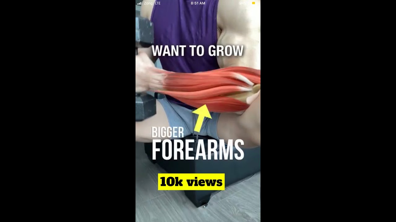 How to dig your forearm. Do this workout - YouTube