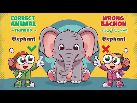 Kids learning cartoon Correct animal names suggest.. - YouTube