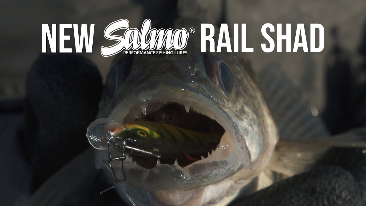 NEW Salmo Rail Shad - ICAST 2019! - YouTube