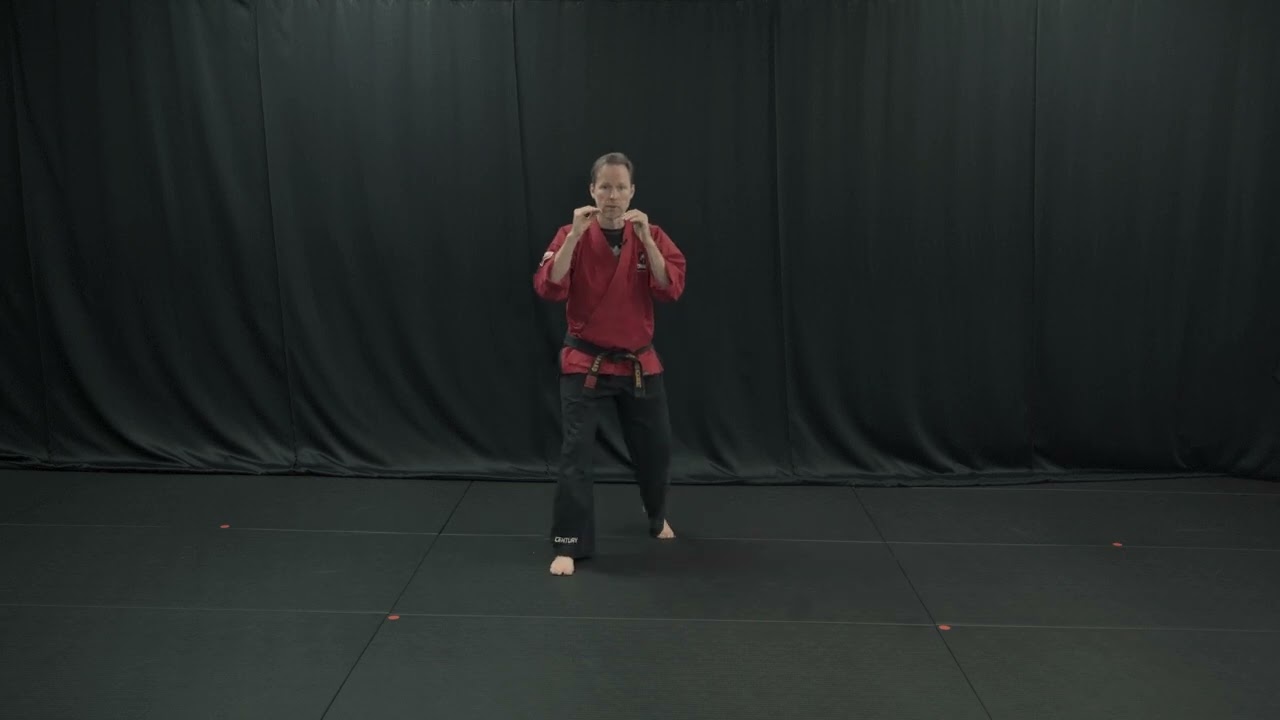 Guarding Stance Basic Movement with Shihan Leard - YouTube