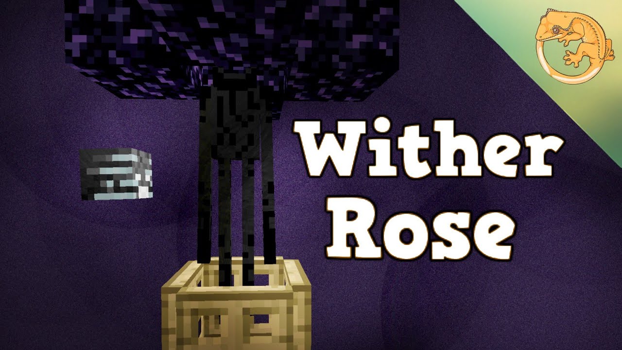 How to build a simple wither rose farm for minecraft 1.19 - YouTube