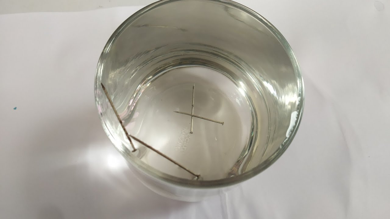 How to float pins in water | Surface tension experiment - YouTube