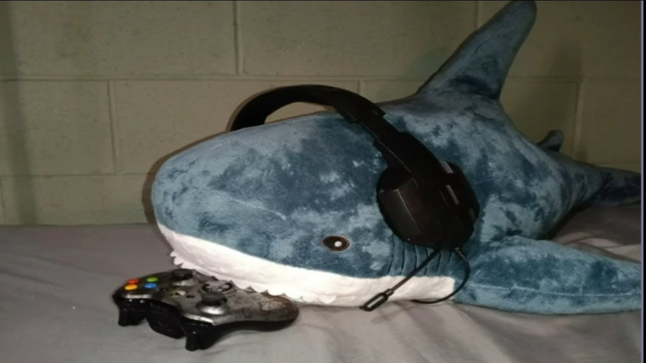 🏳️‍⚧What Game is Blahaj Playing?🏳️‍⚧ - YouTube