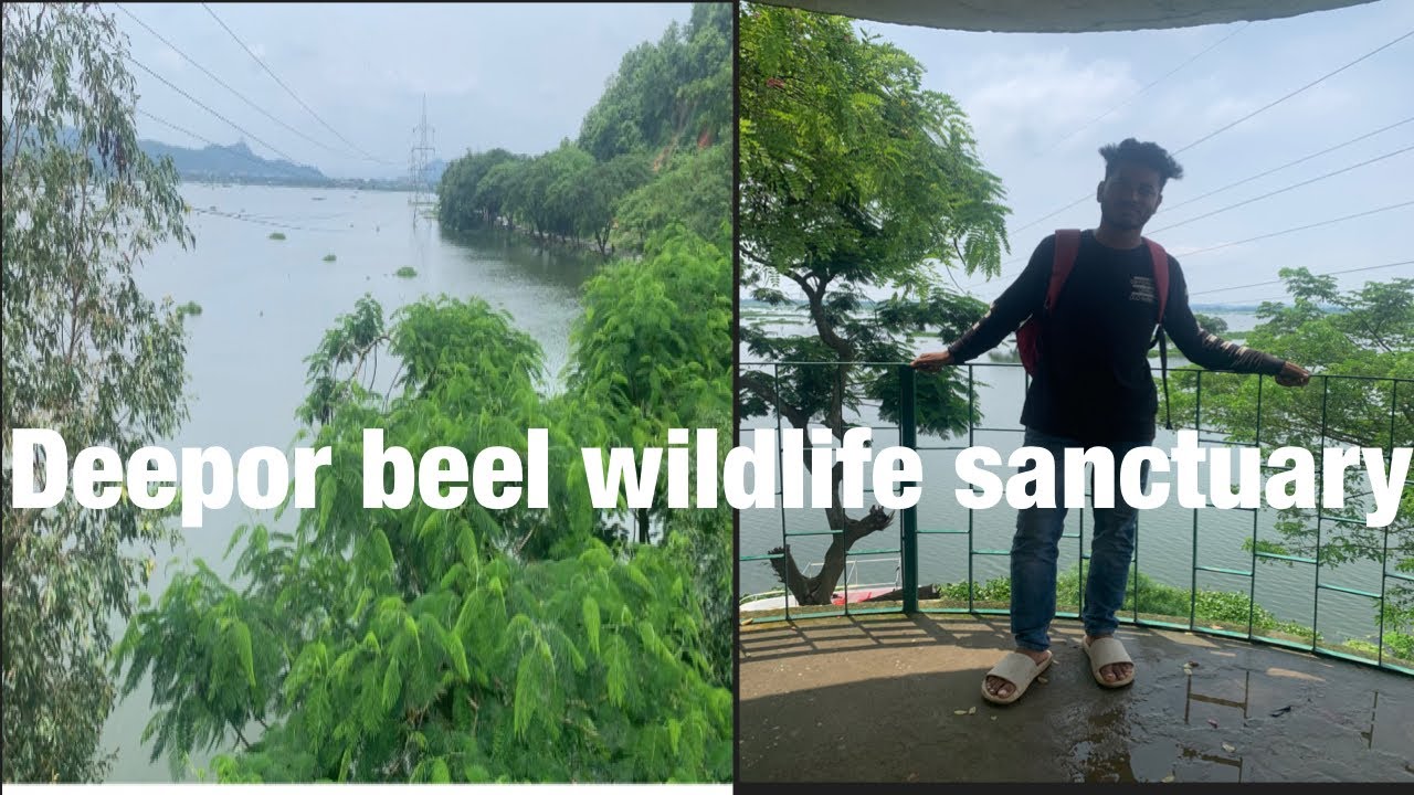 Deepor beel wildlife sanctuary// vlog video// Hanif motovlogs - YouTube