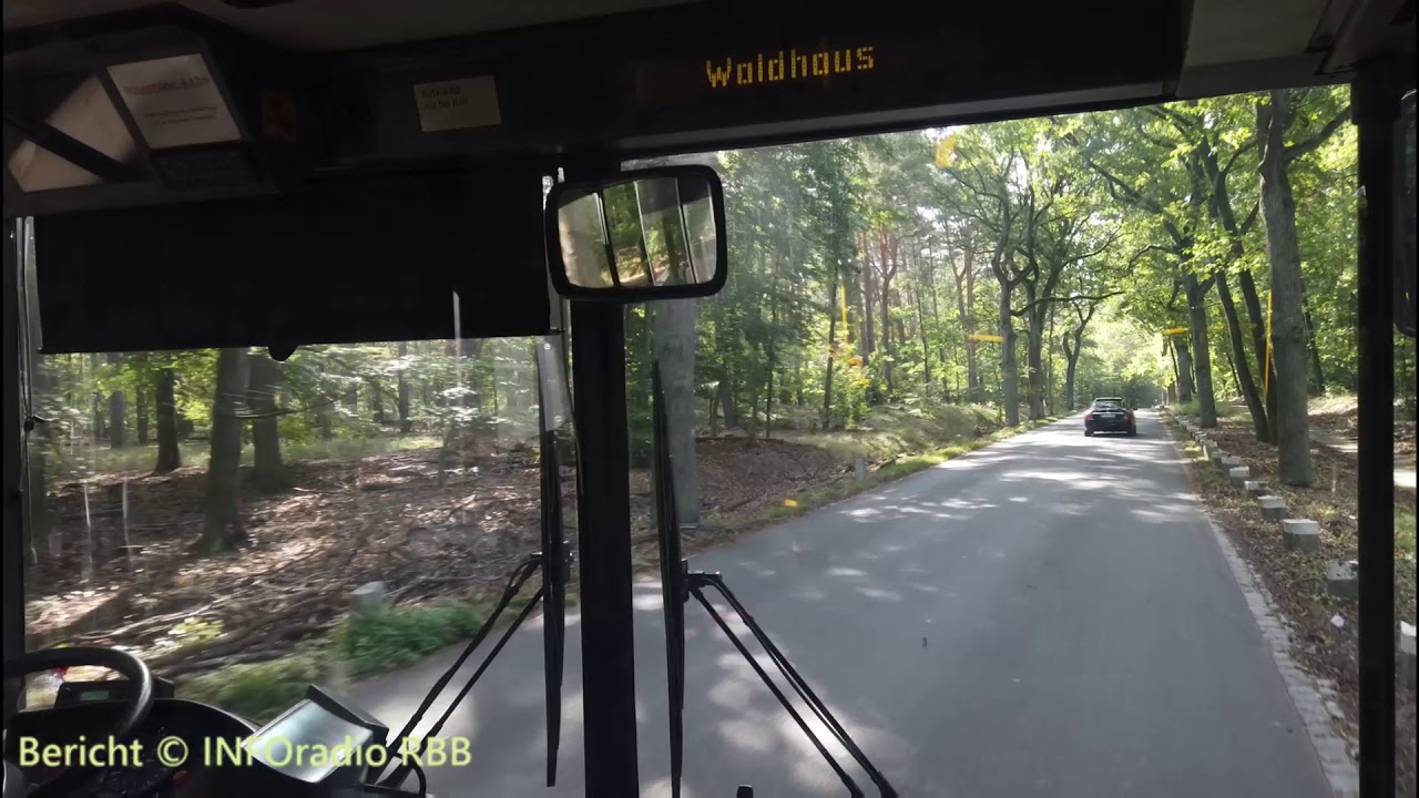 Traditionsbus-Einsatz auf der BVG Linie 218 durch den Wald im Radio ...