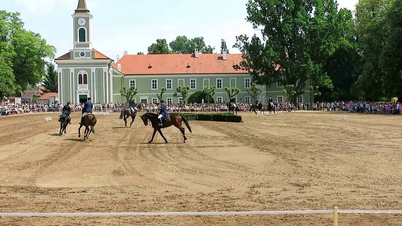 Národní hřebčín Kladruby na Labem - Den starokladrubského koně 2016 ...