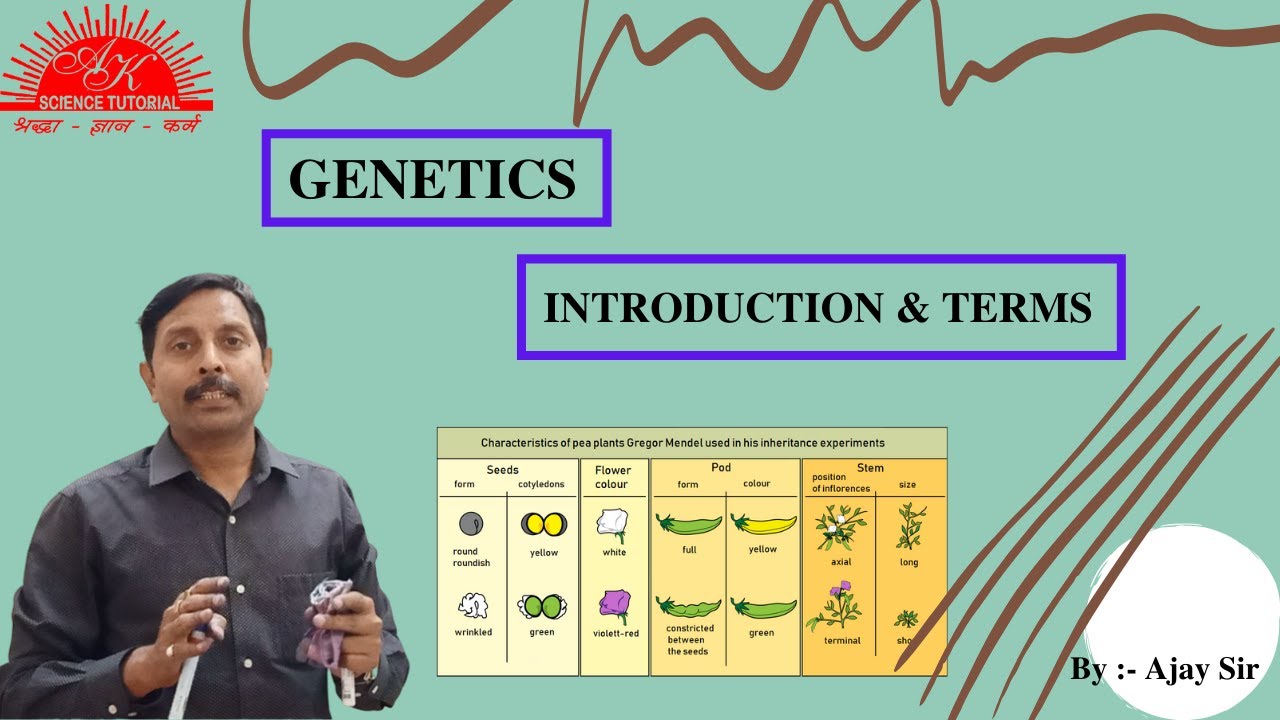 Genetics -1 | Class 10 | Biology | Introduction & Terms - YouTube