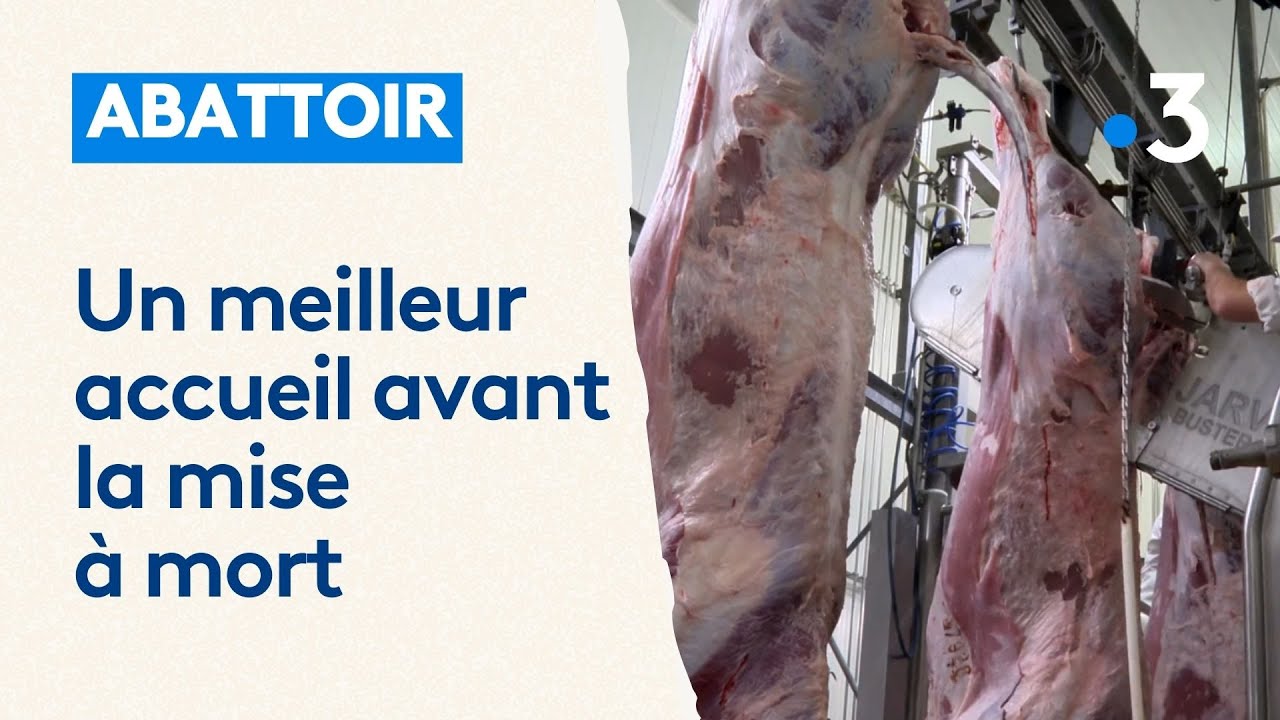 Extension d'un abattoir pour améliorer les conditions d'accueil des ...