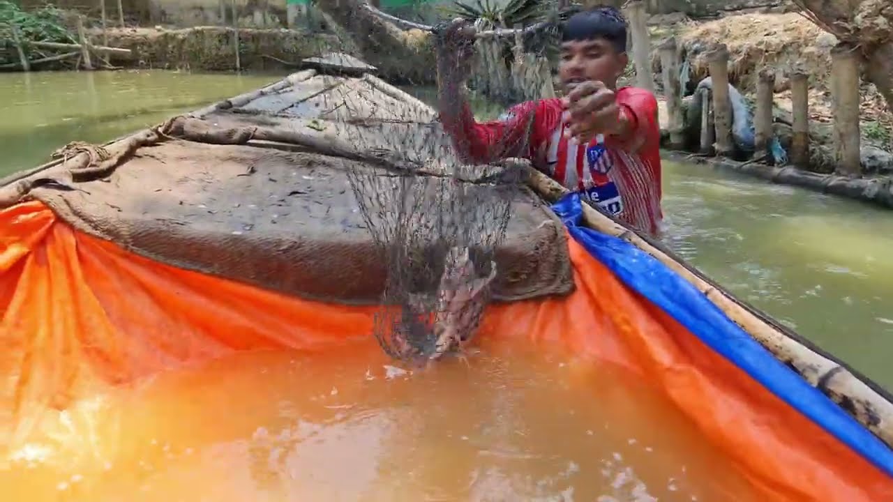 Catch Some Amazing Big Fish In Under Water | Under Water Fishing - YouTube