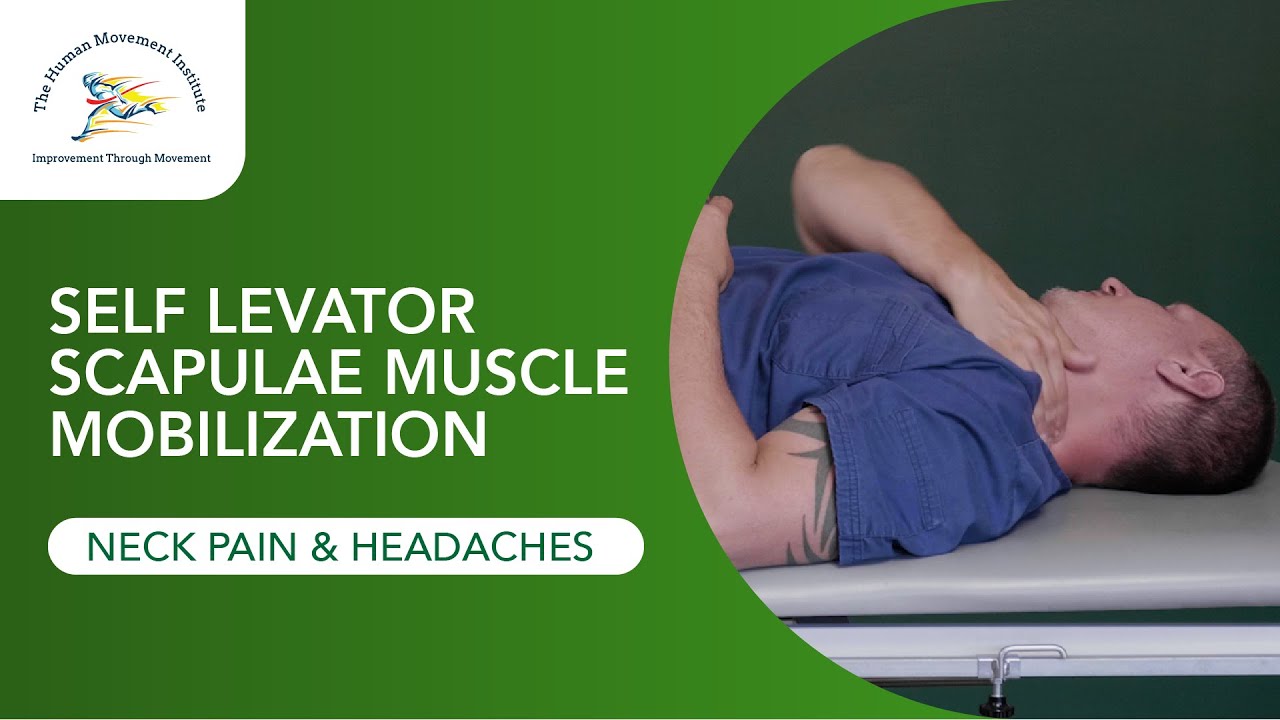 Self-Levator Scapulae Muscle Mobilization - YouTube