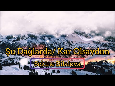 Şu Dağlarda Kar Olsaydım | Sekine Bilalova | Cover Music