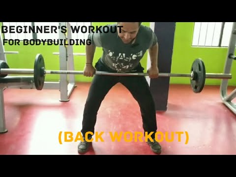Basic Workout for Bodybuilding Beginners | Back Workout | - YouTube