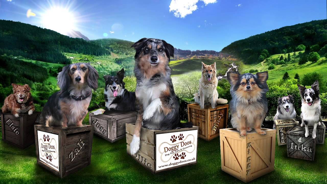 DOGGY DOOS COMMERCIAL - YouTube