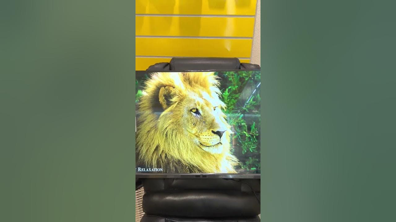 Телевизор Hi VHIX-32F219MSY, 32"(81 см), FHD - YouTube