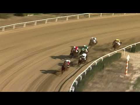 (NOSTALJİ) PİSTLERDEN BİR ''KAZBEK'' GEÇTİ 1998 GÜZEL İZMİR KOŞUSU ENGİL YALÇIN