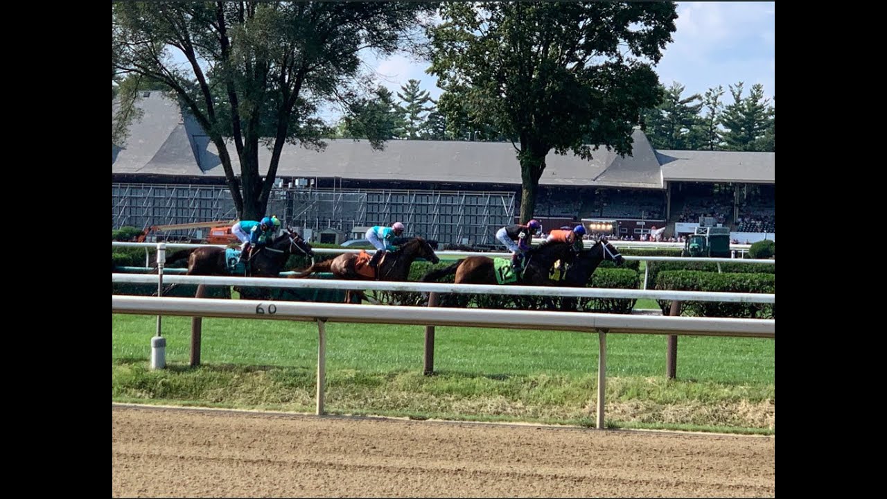 Saratoga Today 2021 day 35, Dutching a good tool - YouTube