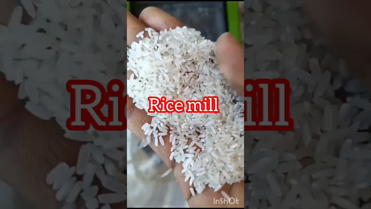 mini Rice mill - YouTube