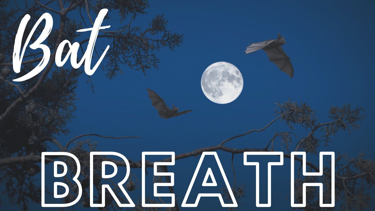 Breath Practice 3 - Bat Breath - YouTube
