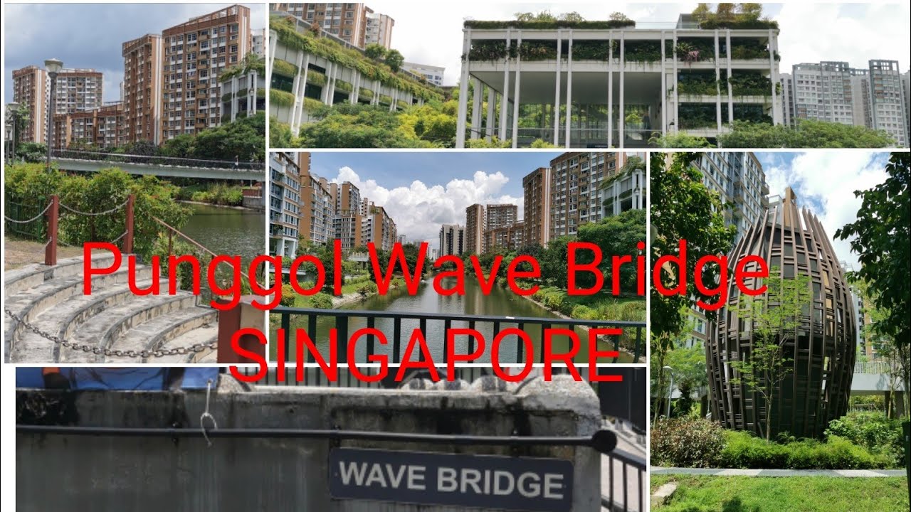 Punggol Wave Bridge - YouTube