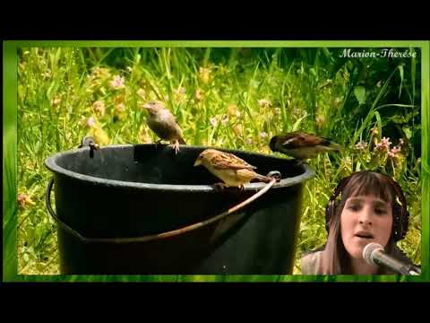 Maybe (Thom Pace) theme song of Grizzly Adams -sung by #Mari-Therése ...