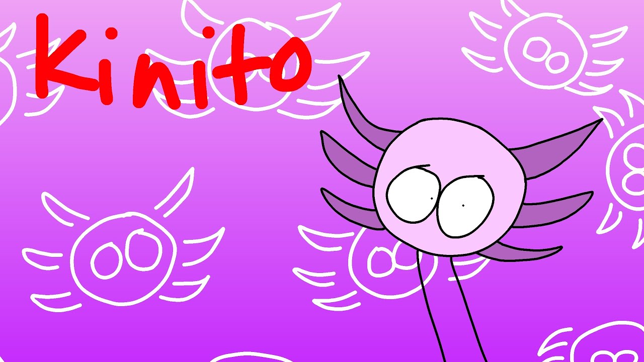 Kinito: Across the Hyperverse (Everlasting Fun animation) - YouTube