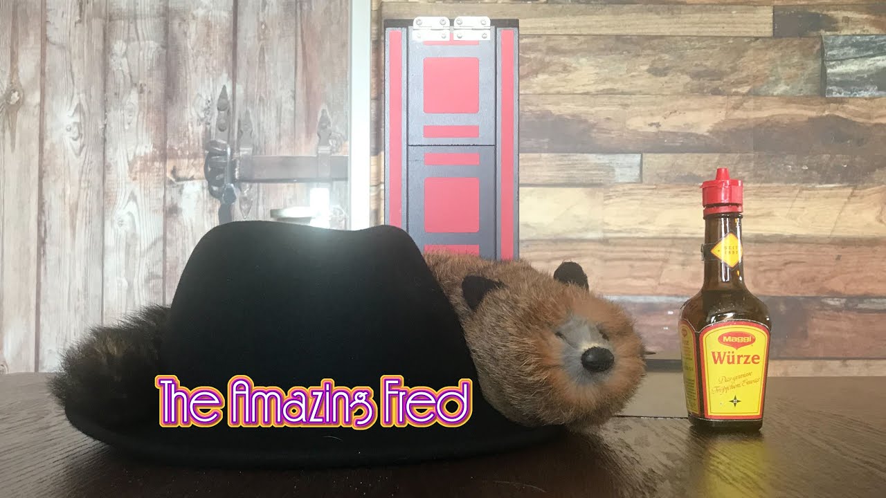 The Amazing Fred [Rocky Raccoon] - YouTube