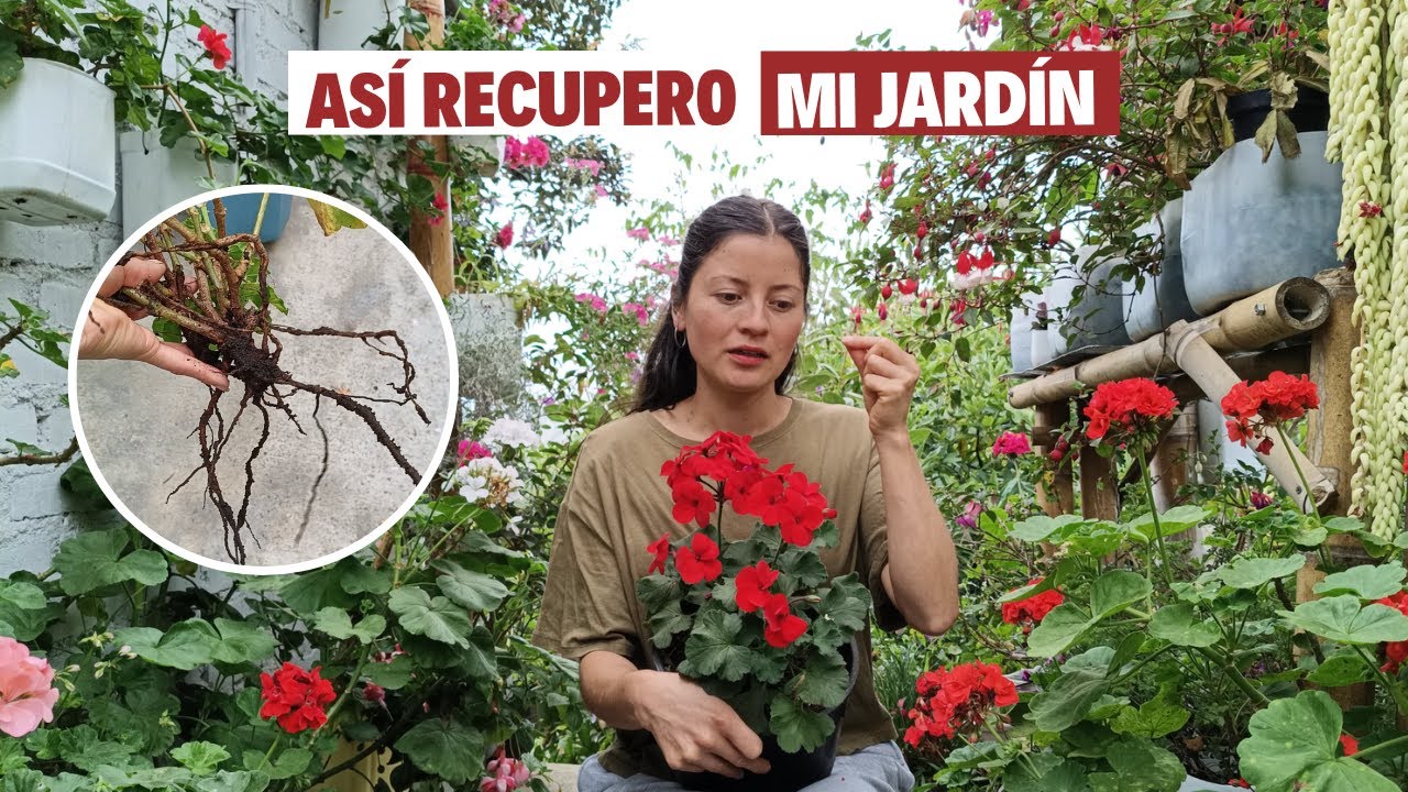 4 cosas que hago cuando mis plantas están muy feas | Jardín Diaz - YouTube