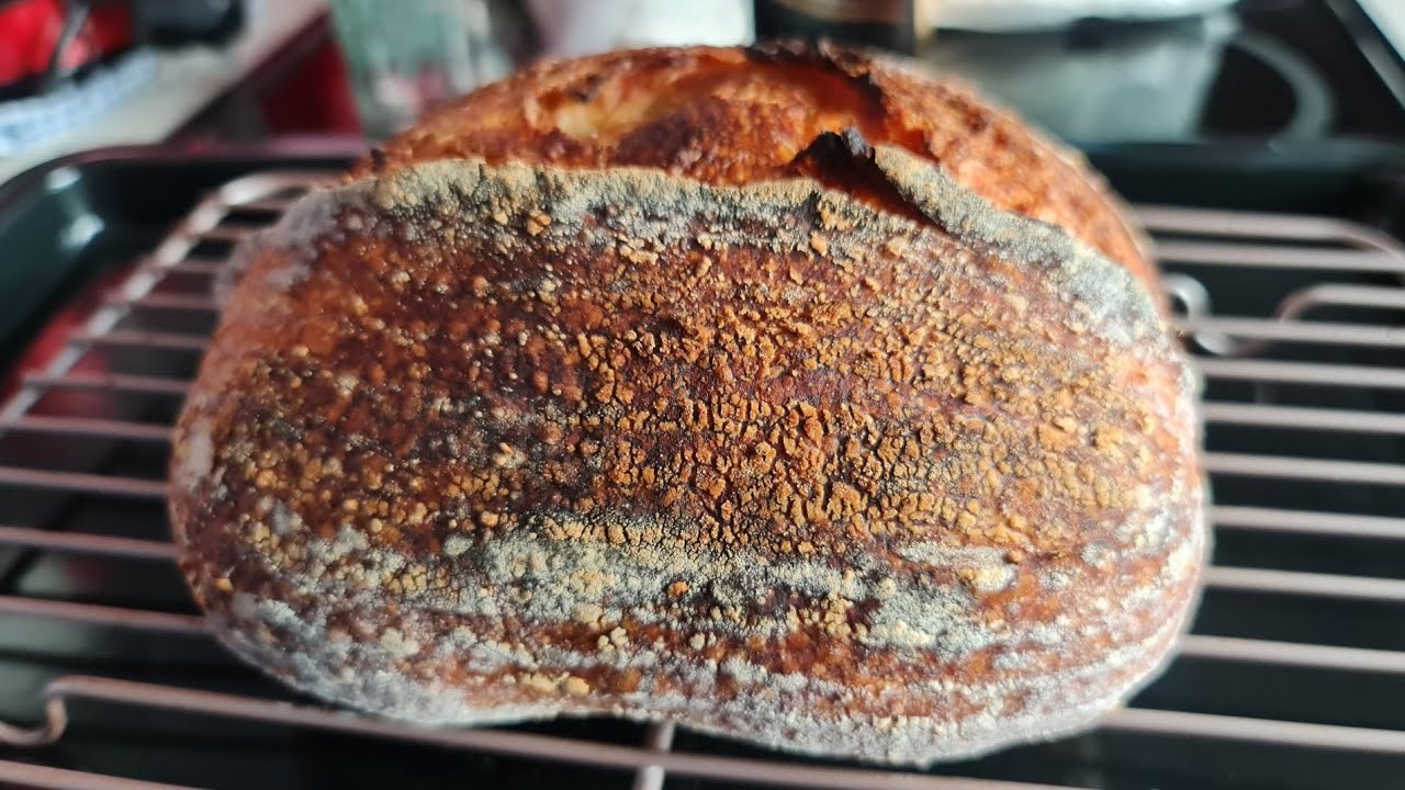 Building Levain from FrozenDough - YouTube