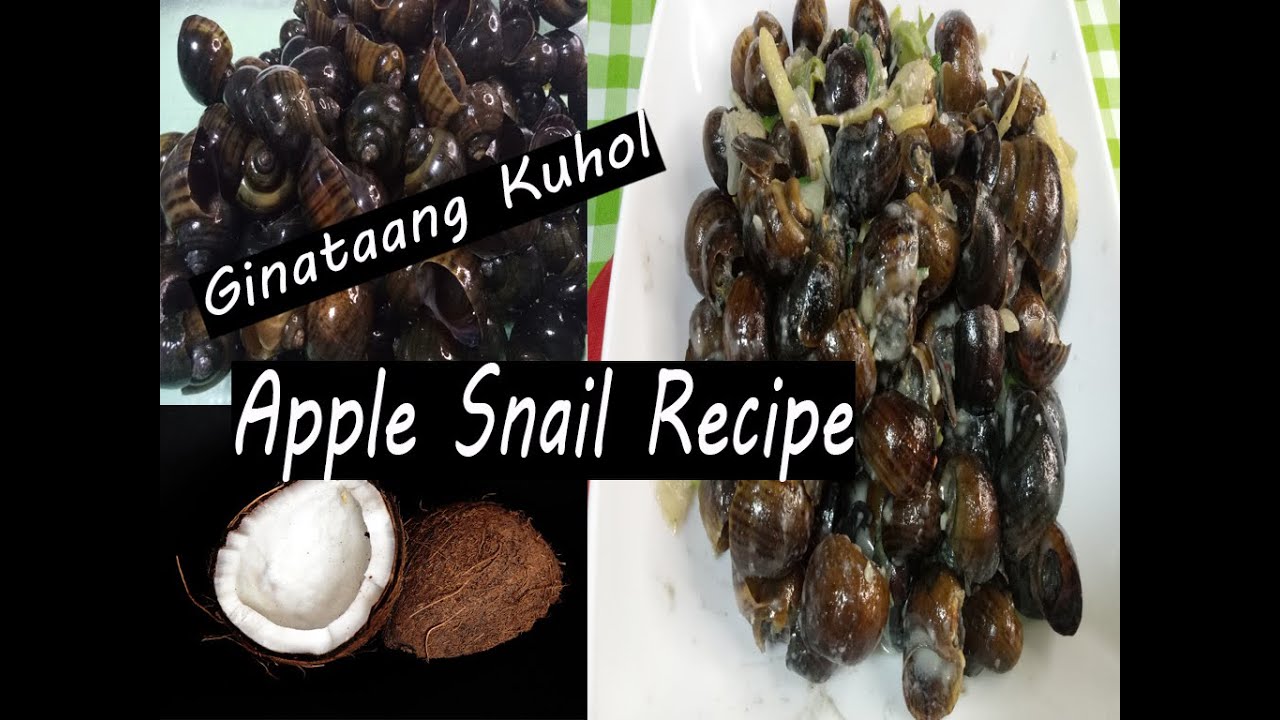 Ginataang Kuhol /Apple Snail Recipe - YouTube