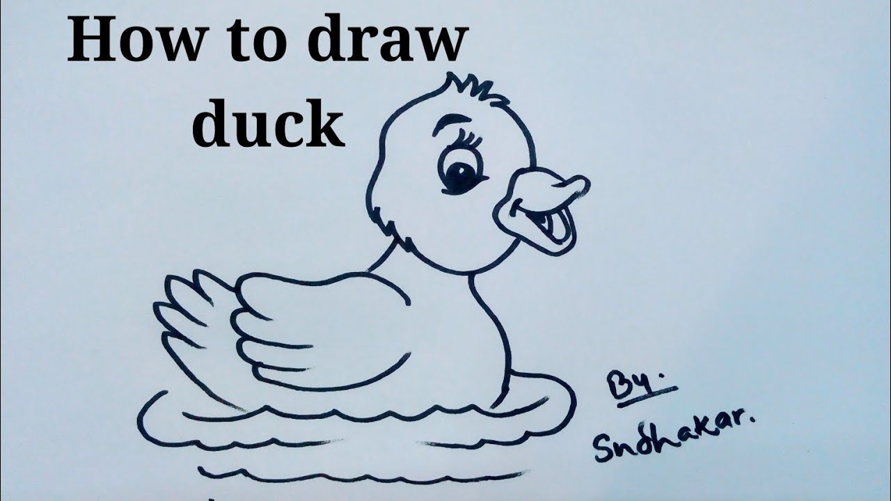 Duckling Swimming Drawing