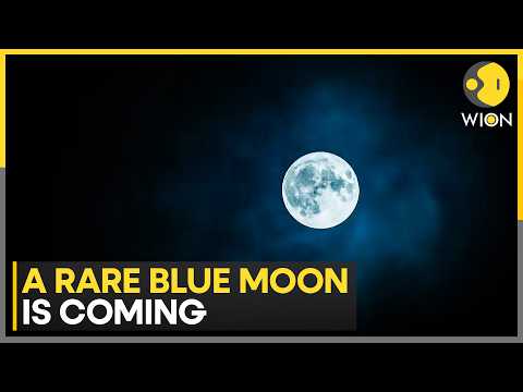 Blue Moon & Planet Parade To Dazzle The Sky | WION NEWS