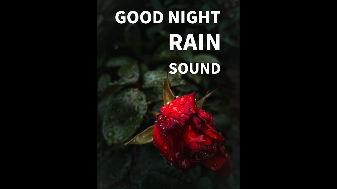 GOOD NIGHT RAIN SOUND - YouTube