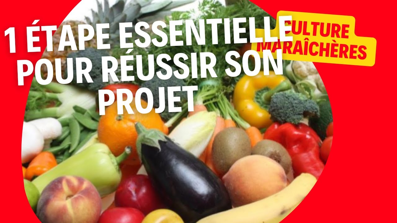 Culture maraîchères :Quelques étapes pratiques pour réussir son projet ...