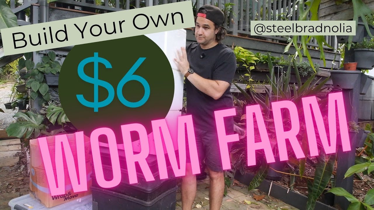 Build a WORM FARM for $6 - YouTube