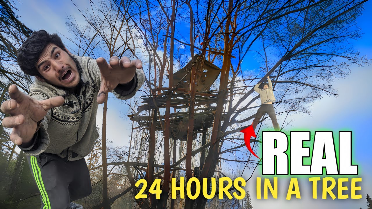 24 HOURS IN A TREE CHALLENGE | SURVIVAL CHALLENGES 😱 - YouTube
