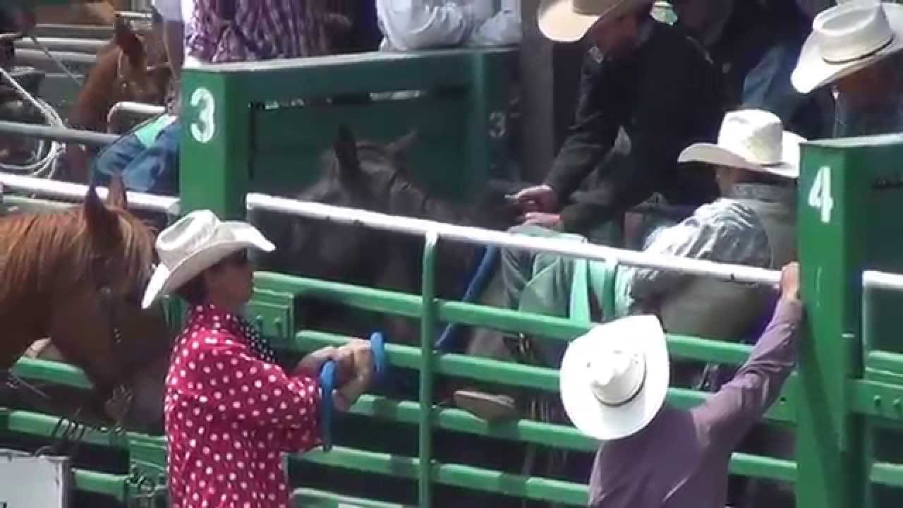 Rowell Ranch Rodeo Cruelty - Horse Flips Over Fence & Falls Hard on ...