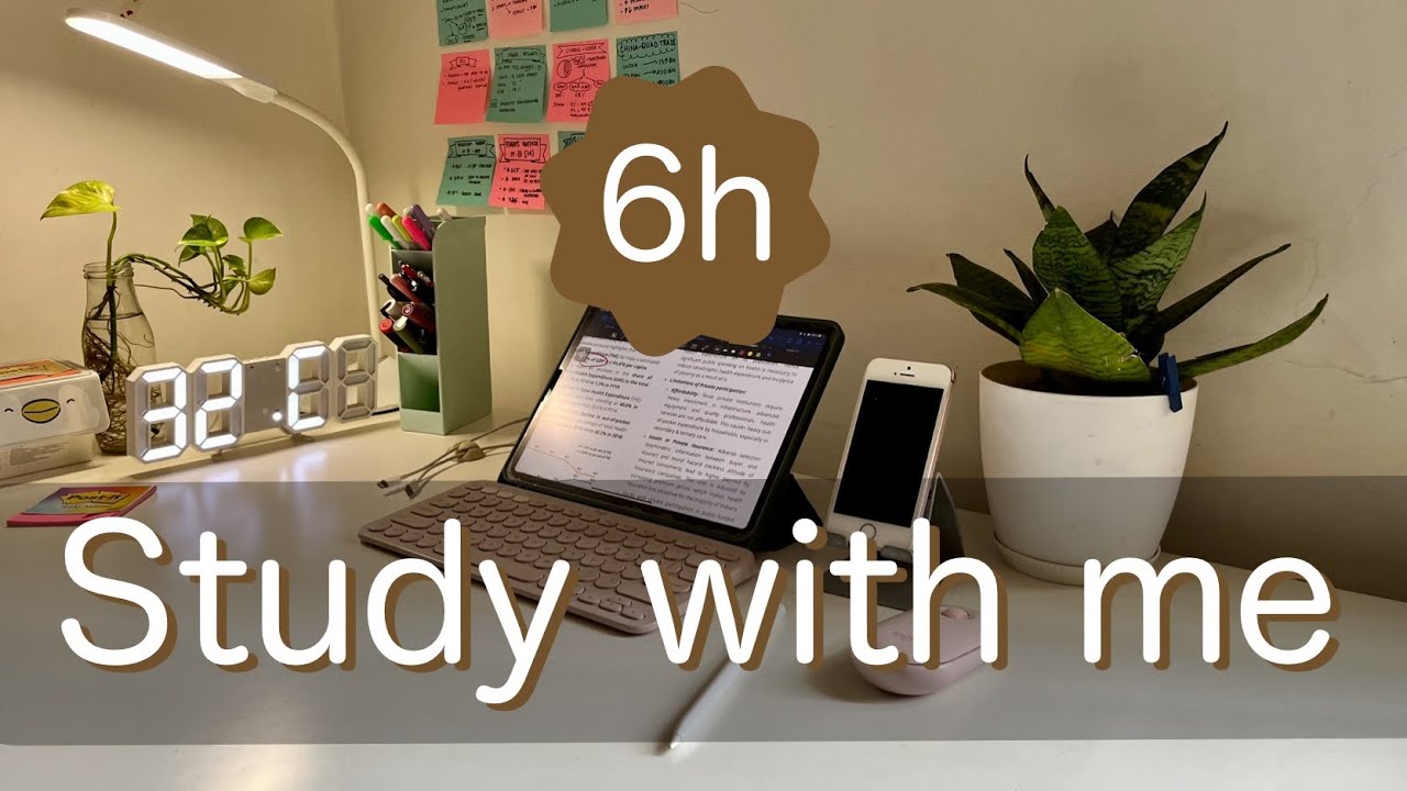 Study with me LIVE for 6 hours : 50-10 pomodoro (fire sound/ bird sound ...