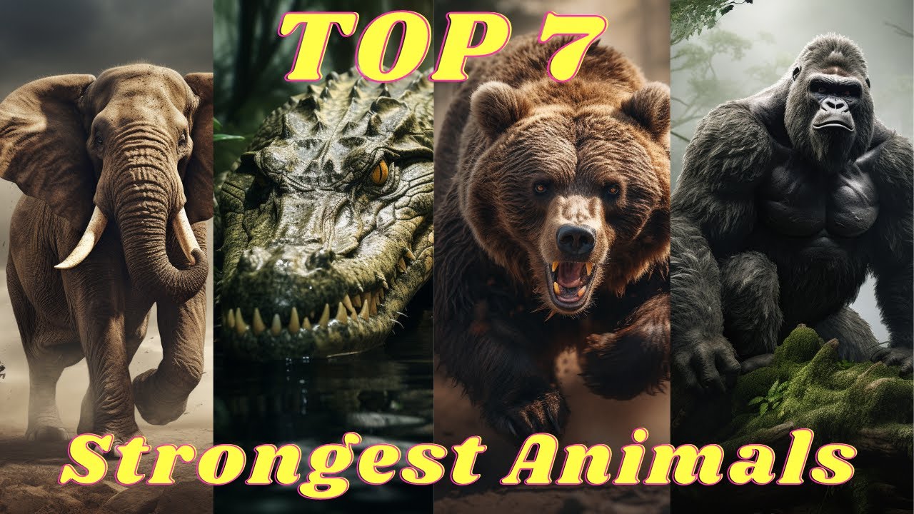 We found the TRUE 7 Strongest Animals in the World - YouTube