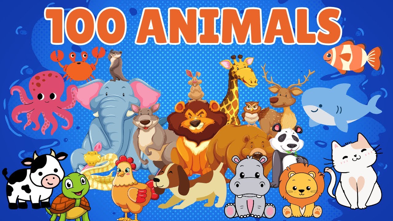 100 Animal Names on Flash Cards for Toddlers & Pre-Schoolers - YouTube