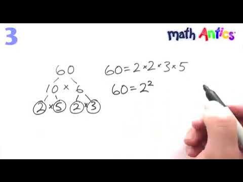 Math Antics: Prime Factorization (Exercises Video) - YouTube
