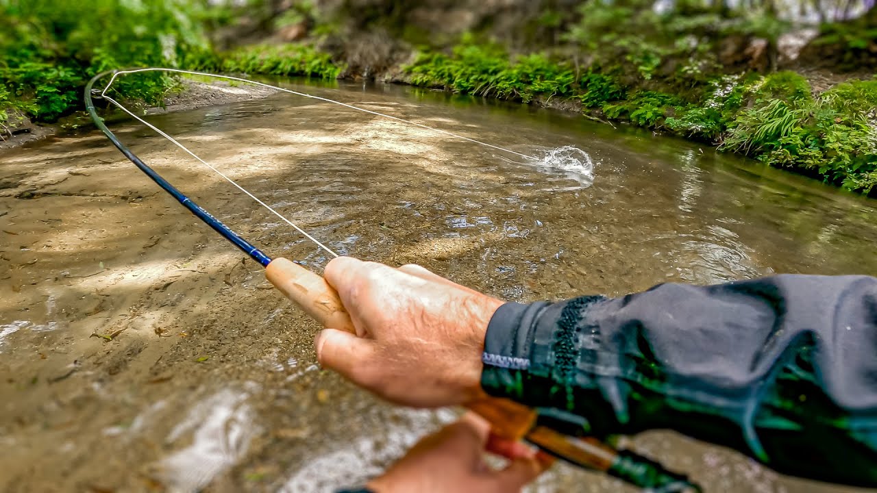 5lb TROUT Fly Fishing a Small Stream - YouTube
