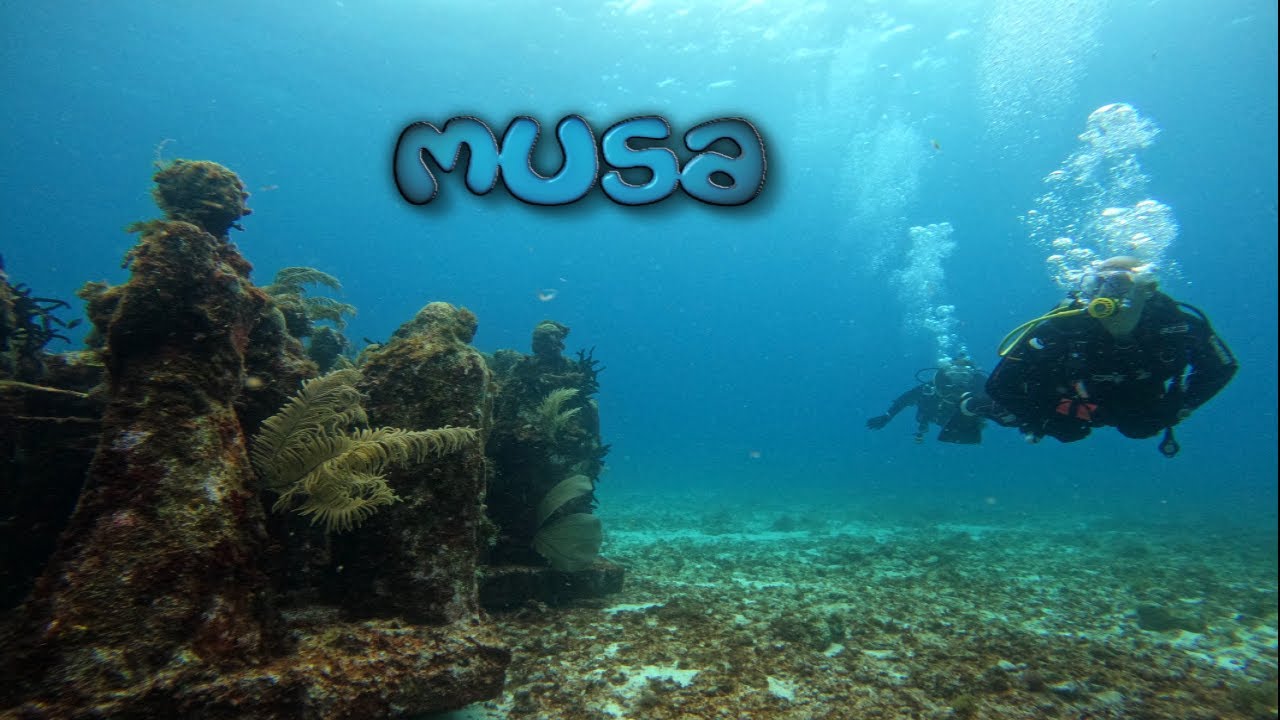Rivera maya Buceo Museo Musa - Isla Mujeres - YouTube