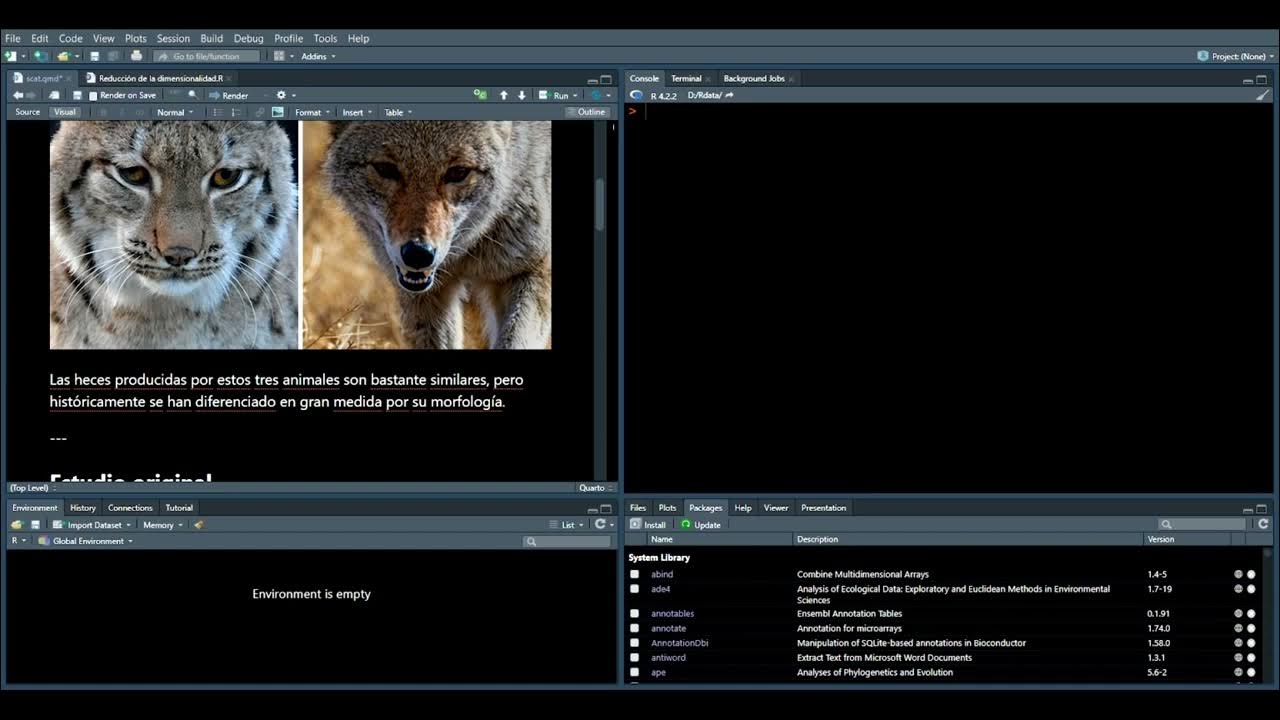 Predicción De Especies Con Tidymodels Parte 1 Preprocesamiento Youtube