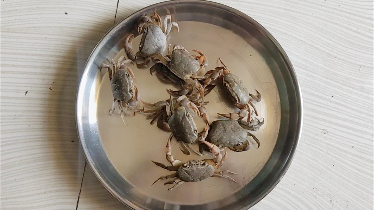 🦀🦀🥣🥣Vayal Nandu Rasam...🦀🦀🥣🥣/country crab soup... - YouTube