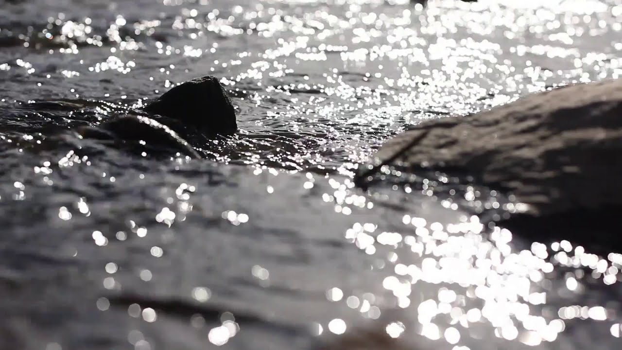 Nature Asmr 자연의 소리와 영상을 담다 자연스러운 소리 자연의 소리 시냇물 흐르는 소리 자연의 소리 단편영화 짧은영화 명상 Youtube