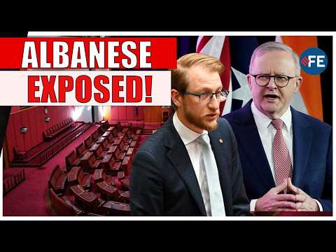 James Paterson Accuses Albanese Government Of ‘Dirty Politics’ Over Citizenship Ceremonies