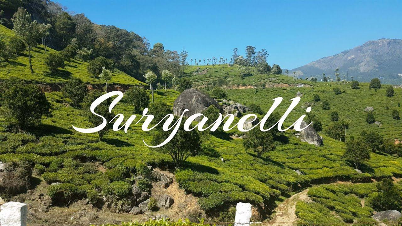 Suryanelli |suryanelli resorts| Drive to suryanelMunnarSuryanelli ...