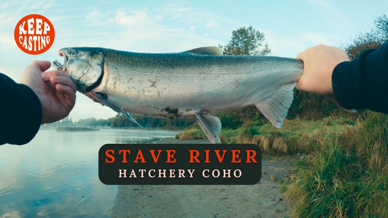 Hatchery Coho Salmon on Prime Lures | Jig Geek Alpha One | Stave River ...