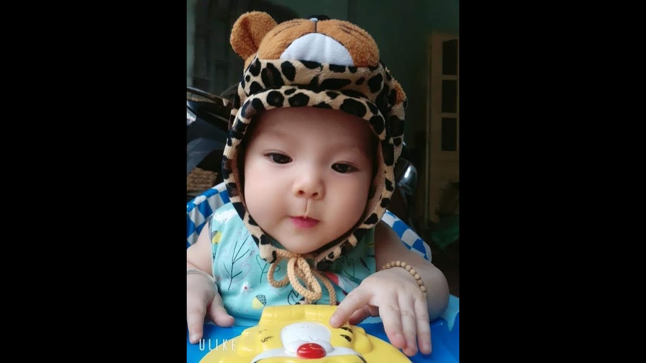 me mua cho con heo dat - YouTube